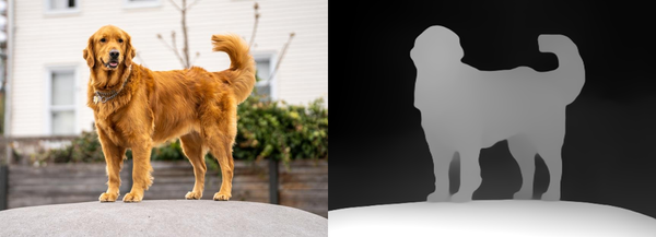 Depth Map Generation for Holographic Displays